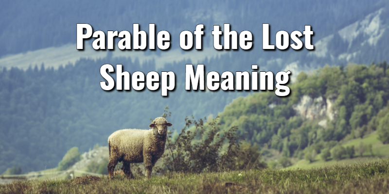The Parable of the Lost Sheep Meaning & Key Bible VersesLord's Library