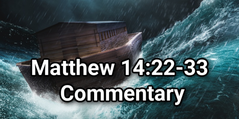 As the Tempest Driveth: Matthew 14:22-33 Commentary & MeaningLord's Library