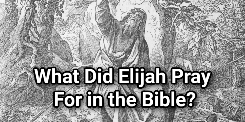What Did Elijah Pray For in the Bible? Scripture ExploredLord's Library